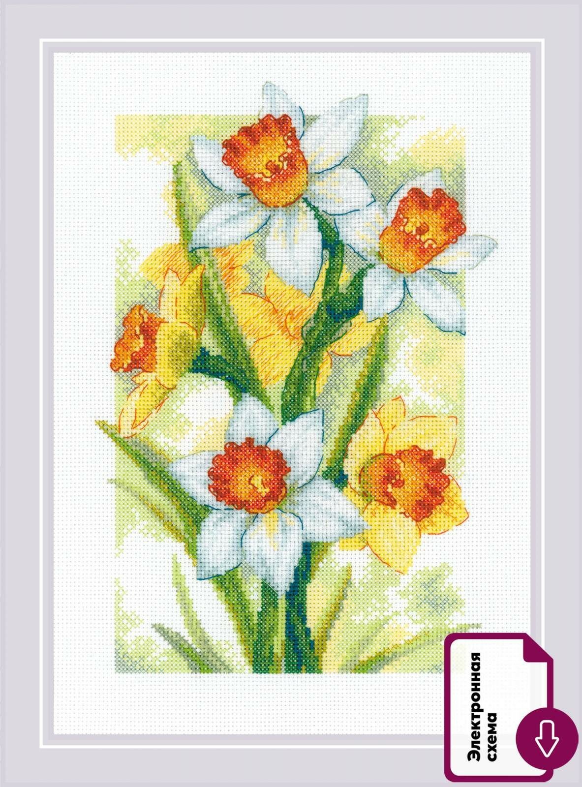 Сияние весны. Нарциссы 2189