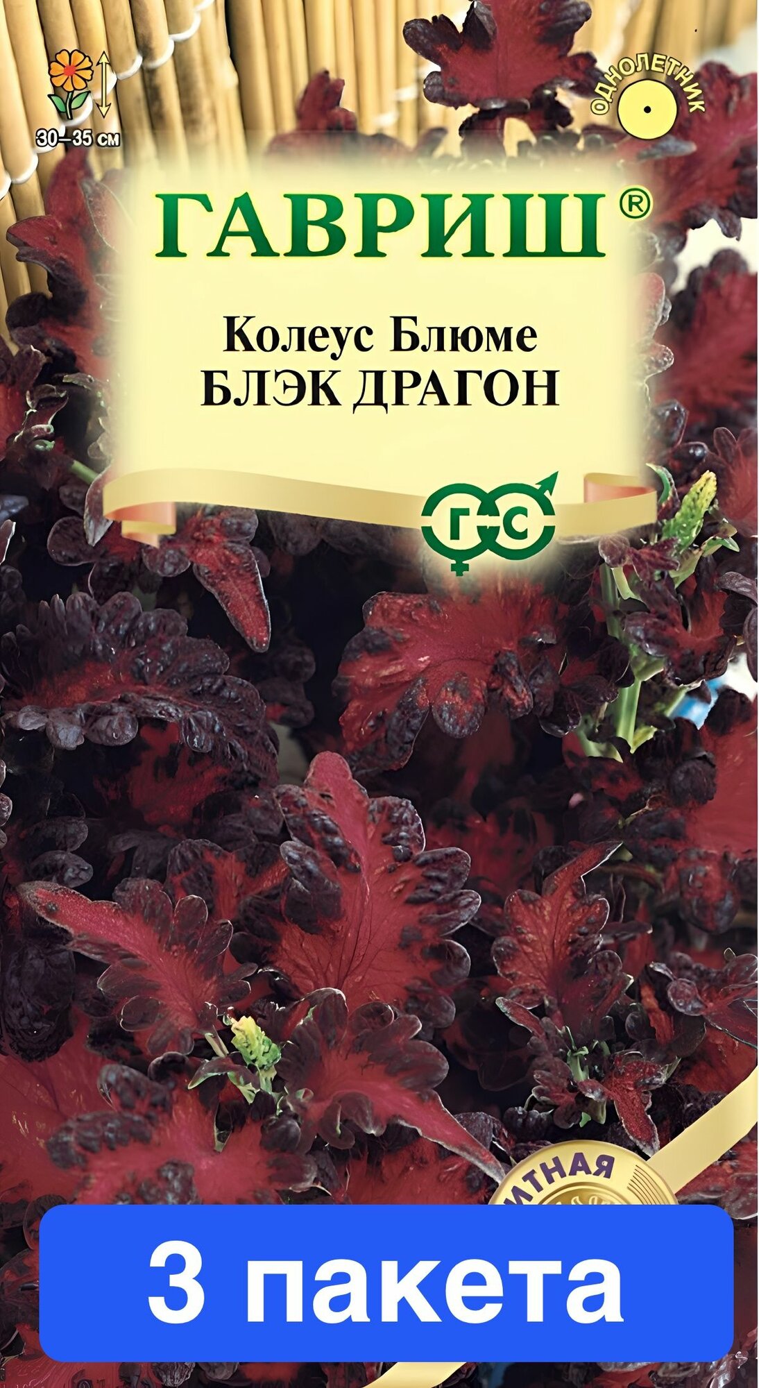 Колеус Блэк Драгон серия Элитная клумба 3 пакета