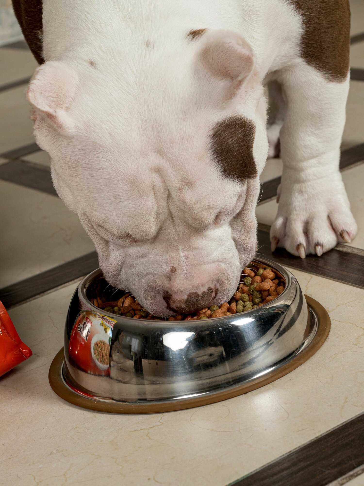 Миска для собак Japan Premium Pet неопрокидываемая утяжелённая анатомическая с прорезиненным дном, размер L