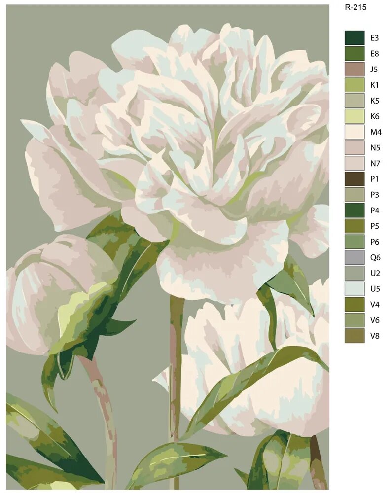 Картина по номерам R-215 "Белые пионы" 40x60 см