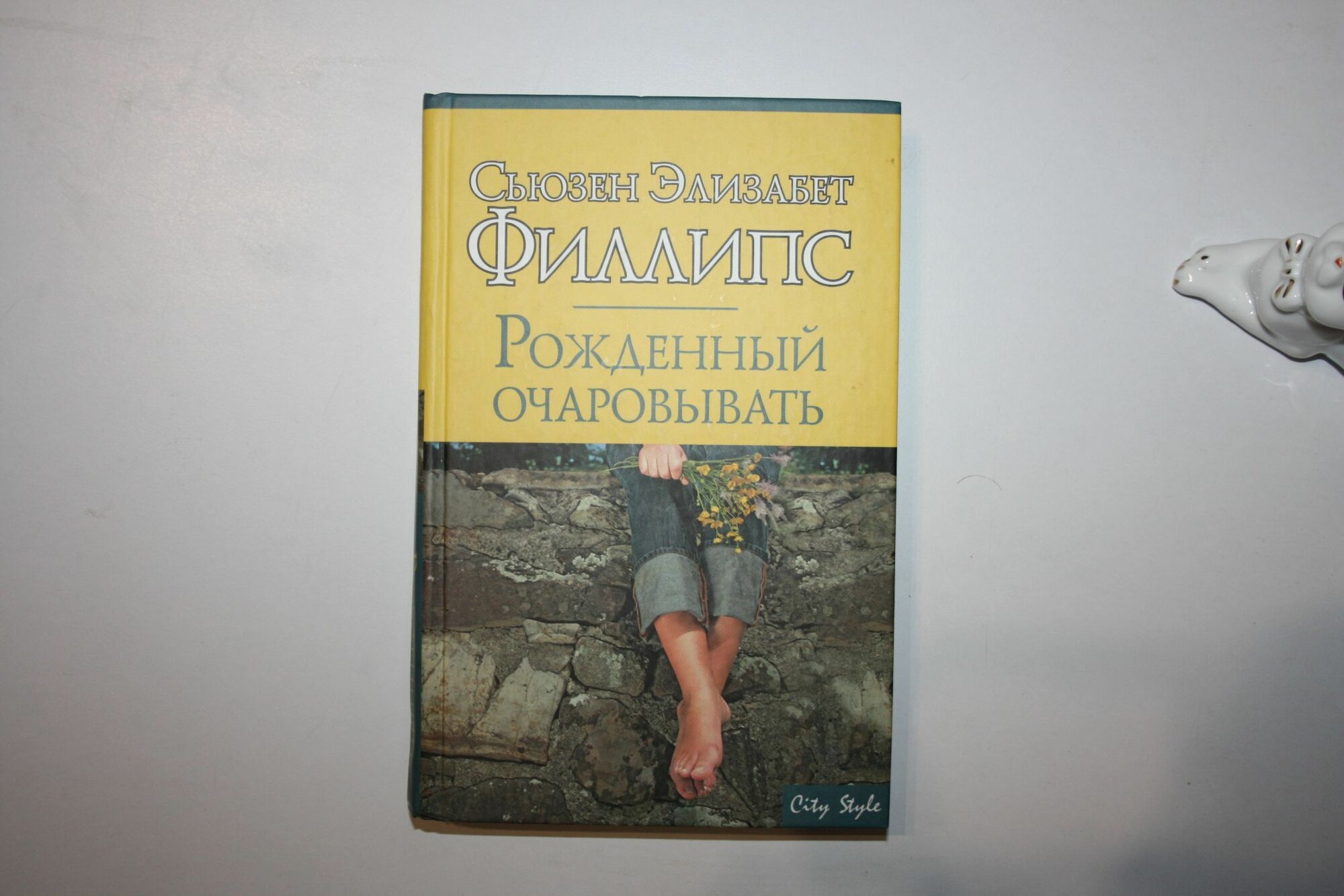 Рожденный очаровывать. Роман