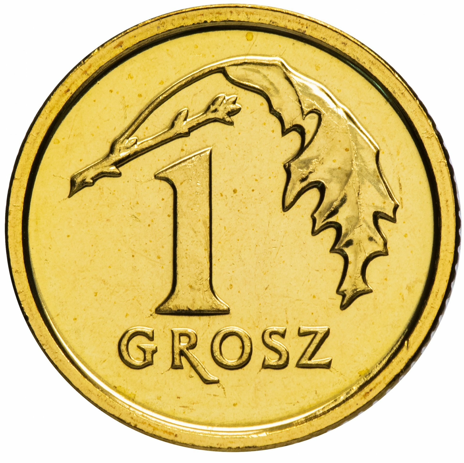 Польша 1 грош grosz 2014 Надпись в нижней части орла, Сталь, в сохранности UNC