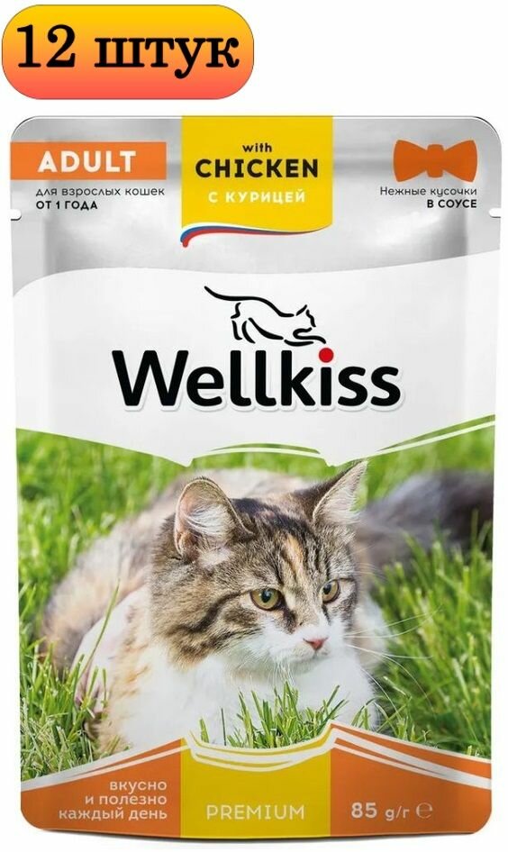 12 шт Wellkiss Adult Влажный корм (пауч) для взрослых кошек, с курицей в соусе, 85 гр.
