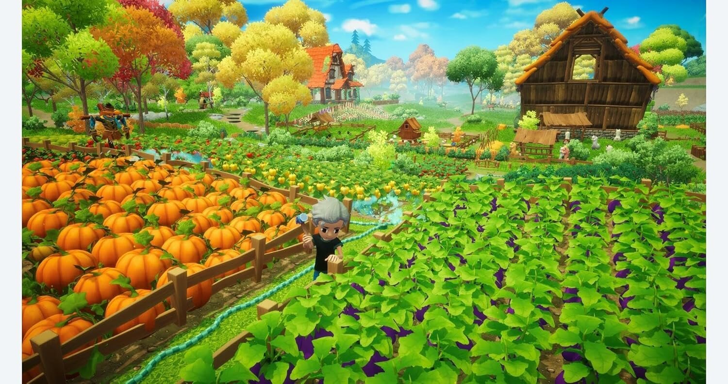 Everdream Valley Nintendo Switch — фото 1