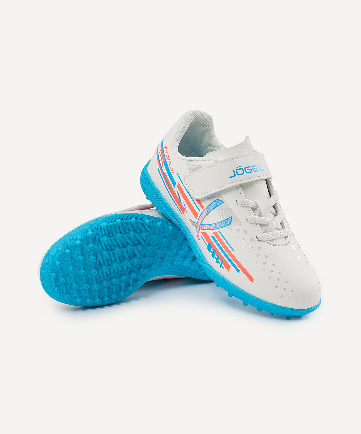 Сороконожки