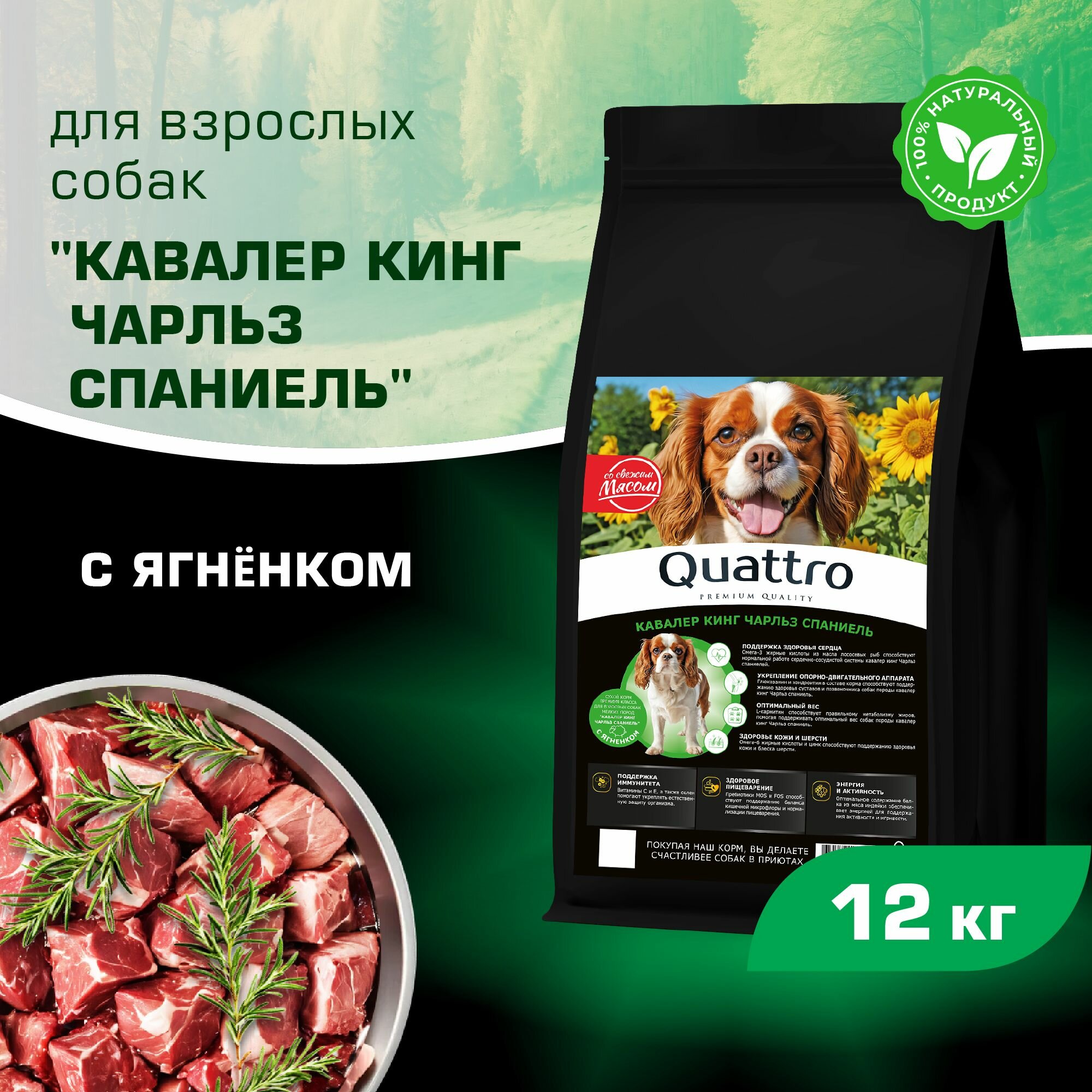 Quattro корм для взрослых собак породы Кавалер кинг Чарльз спаниель, с ягненком 12 кг
