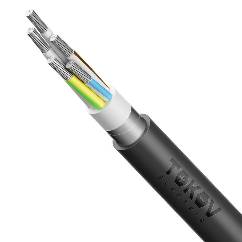 Кабель TOKOV ELECTRIC авбшвнг(А) 5х50 МК (N PE) 0.66кВ (м), TOKOV ELECTRIC КПП 00-00072449 (1 м.)