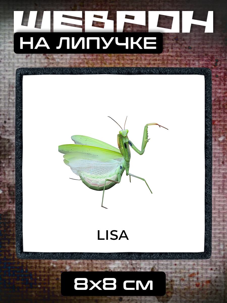 Шеврон на липучке Жук Лиза