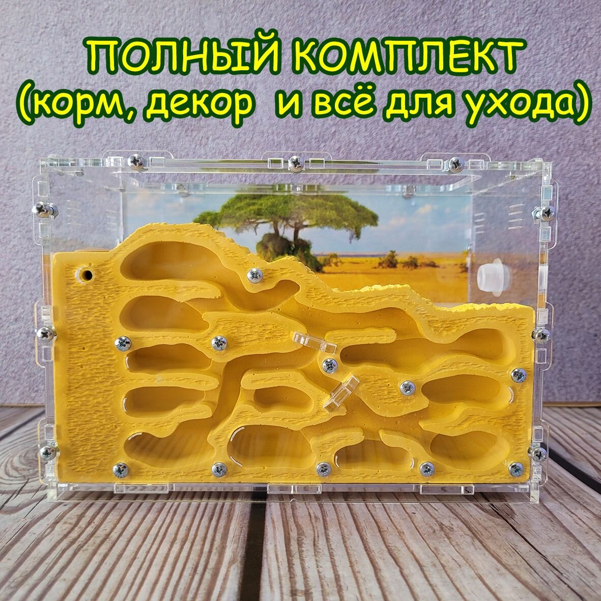 Муравьиная ферма ANTHILL саванна стандарт