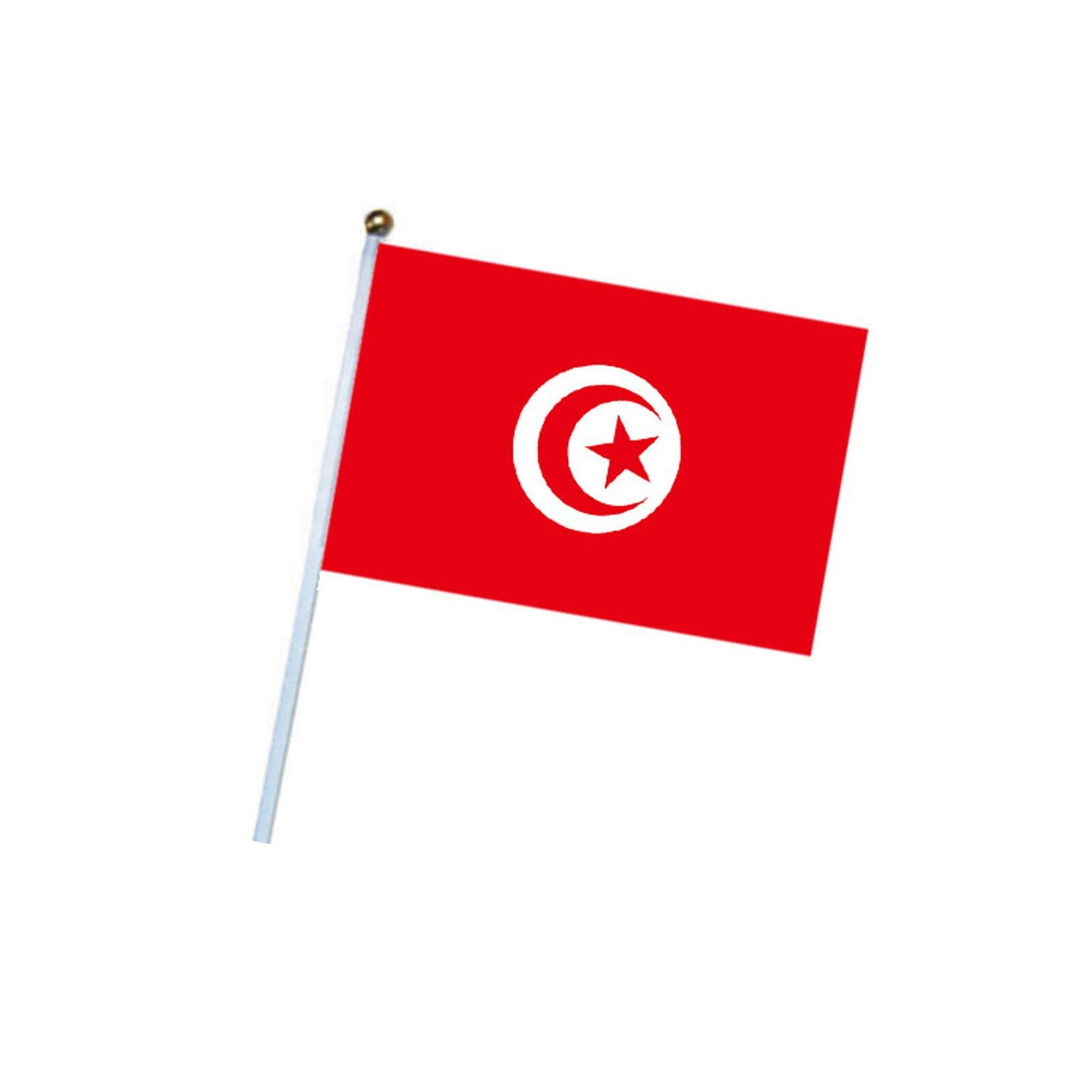 Флаг ручной работы 50peeces для фанатов футбола и футбола приветствует празднование свинга, - Тунис 16