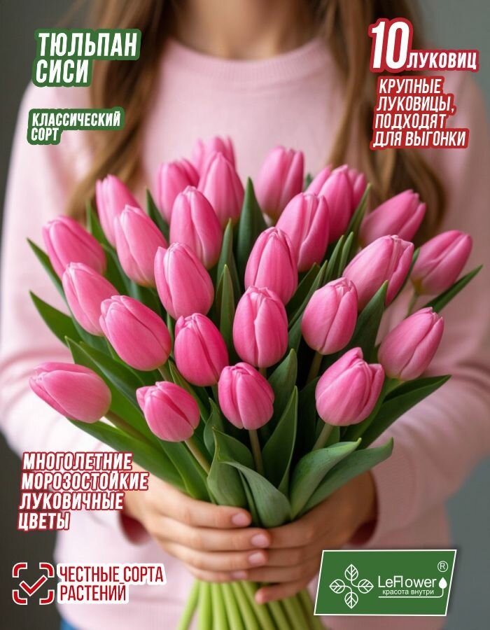 Тюльпан Луковица, Сиси, 10шт крупные