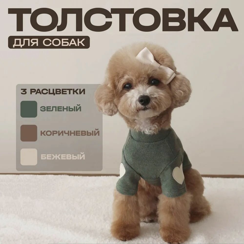 Одежда для животных