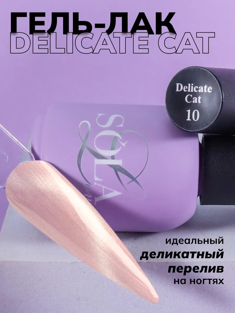 Гель-лак кошачий глаз Delicate cat 10 SOLAlove, 10мл