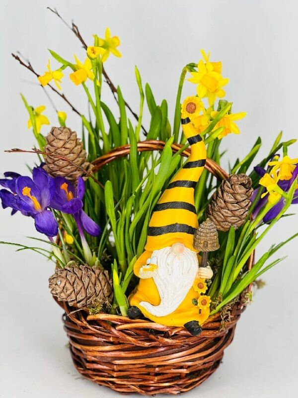 Композиция из первоцветов: крокусы, нарциссы, шишки в корзине с сувениром гном