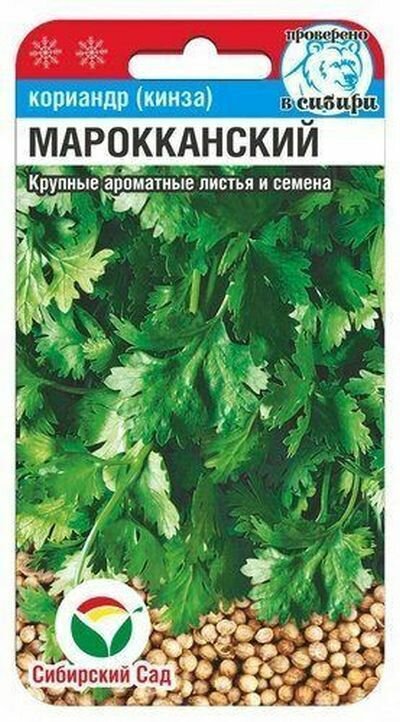 Семена растения Кориандр Мароканский