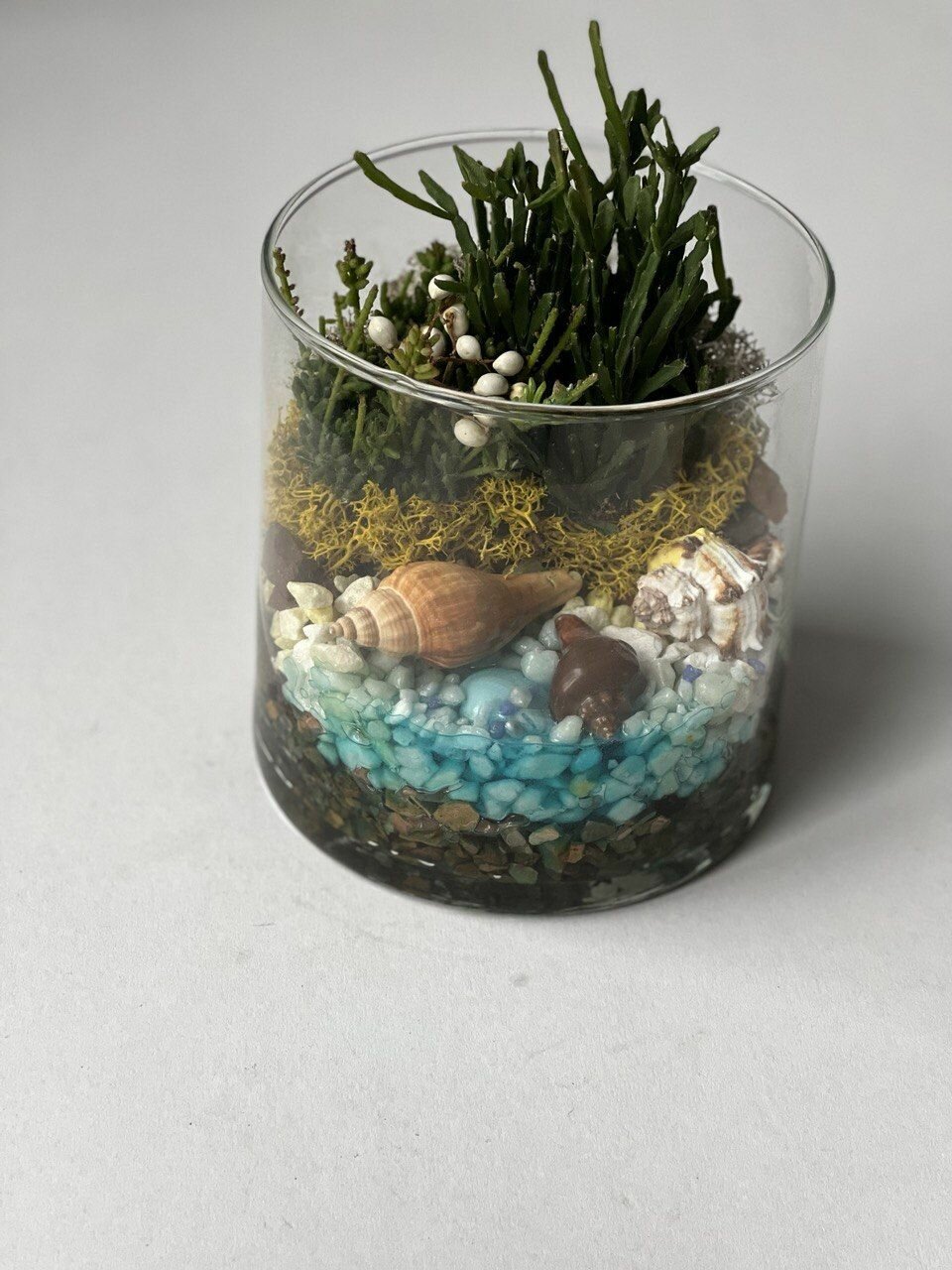 Комнатное растение в вазе / флорариум с суккулентами и водоёмом