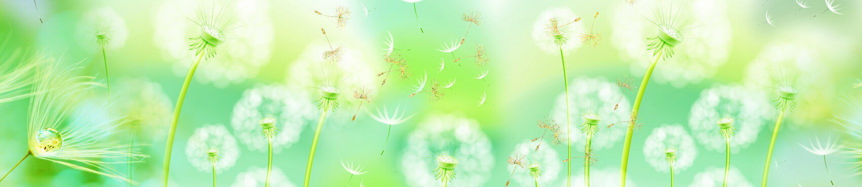 Кухонный фартук/стеновая панель МДФ для кухни 2800*600*6мм MR-19 "Одуванчики" Золото (эффект мерцания)