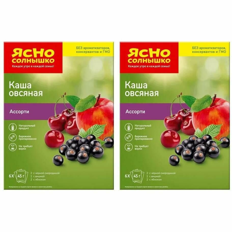 Ясно солнышко Каша овсяная №15 Черная смородина, вишня, яблоко, 270 г, 2 шт