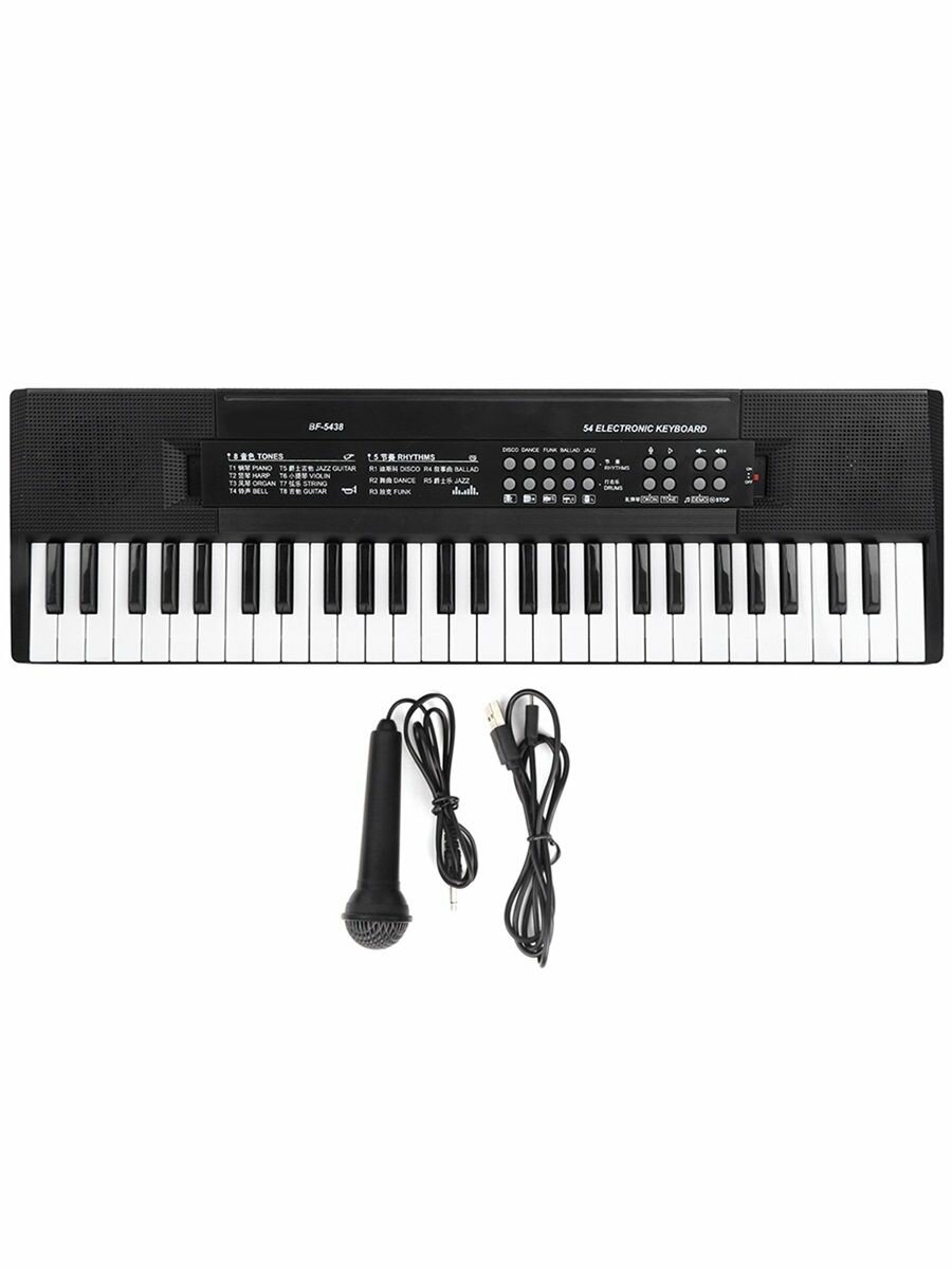 54-клавишная электронная фортепианная клавиатура с микрофоном и функцией записи, BF-5438 Портативная мини-клавиатура фортепиано для начинающих, черная