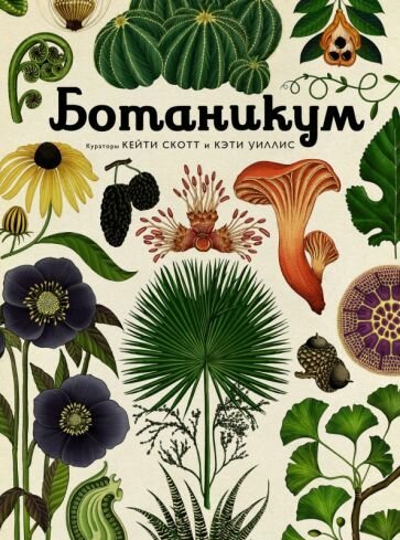 Книга Machaon Ботаникум. 2023 год, К. Уиллис, К. Скотт