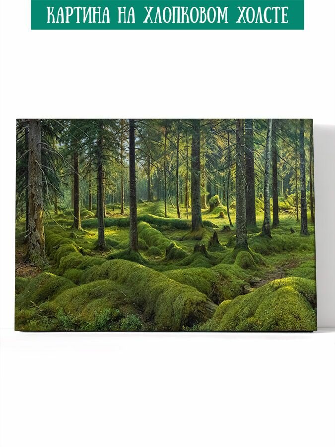 Картина/Старый валежник. Лесное кладбище. Иван Шишкиш