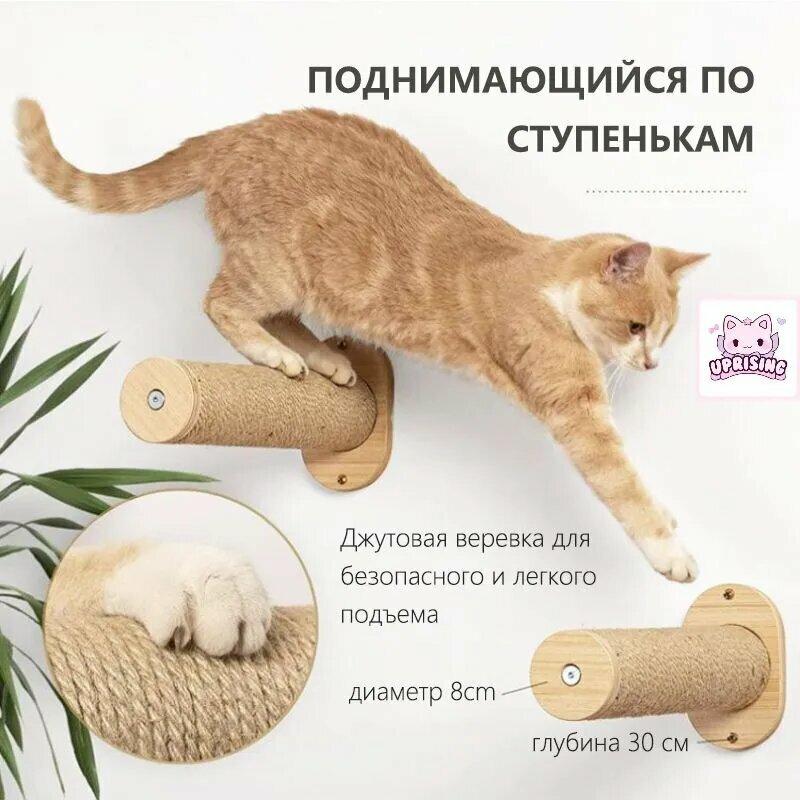 Игровой комплекс для кошек, настенный с 2 лесенками и гамаком