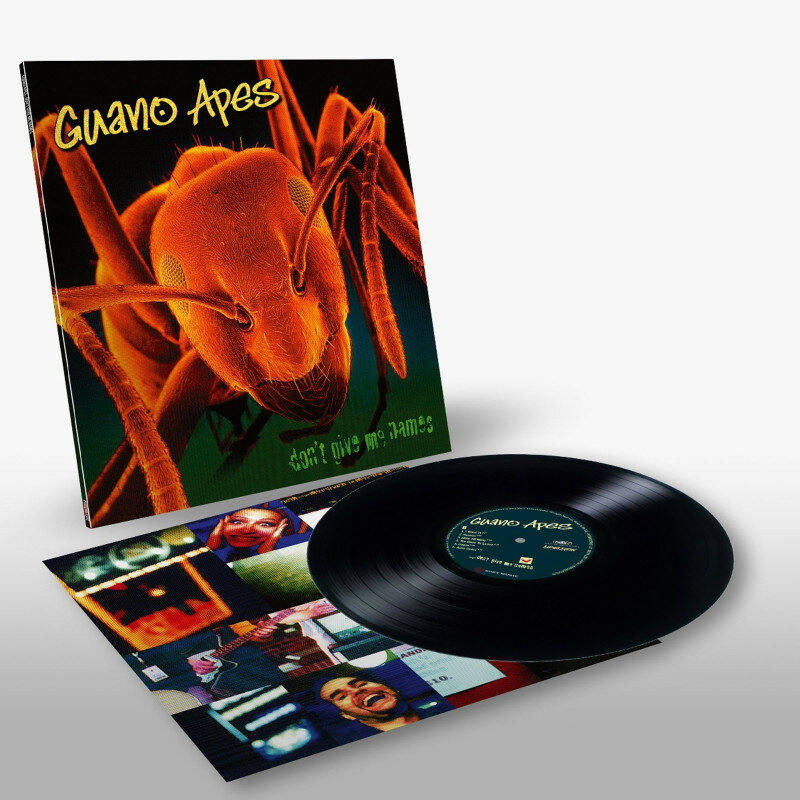Виниловая пластинка Guano Apes / Don't Give Me Names (1LP)