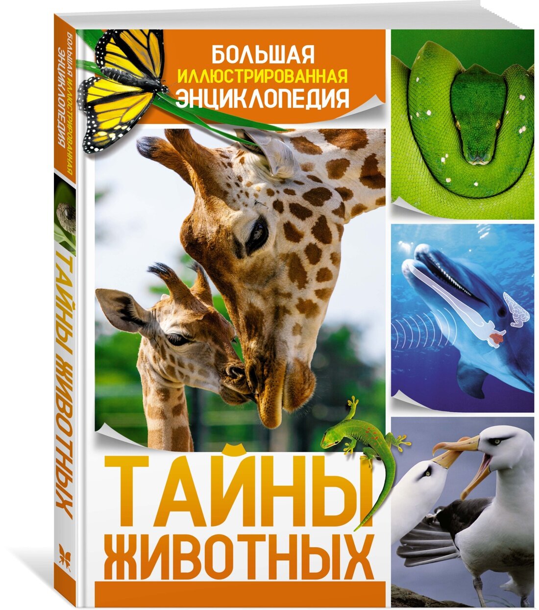 Энциклопедии. Тайны животных. Большая иллюстрированная энциклопедия. Бертонатти К, Перейра Х. А.