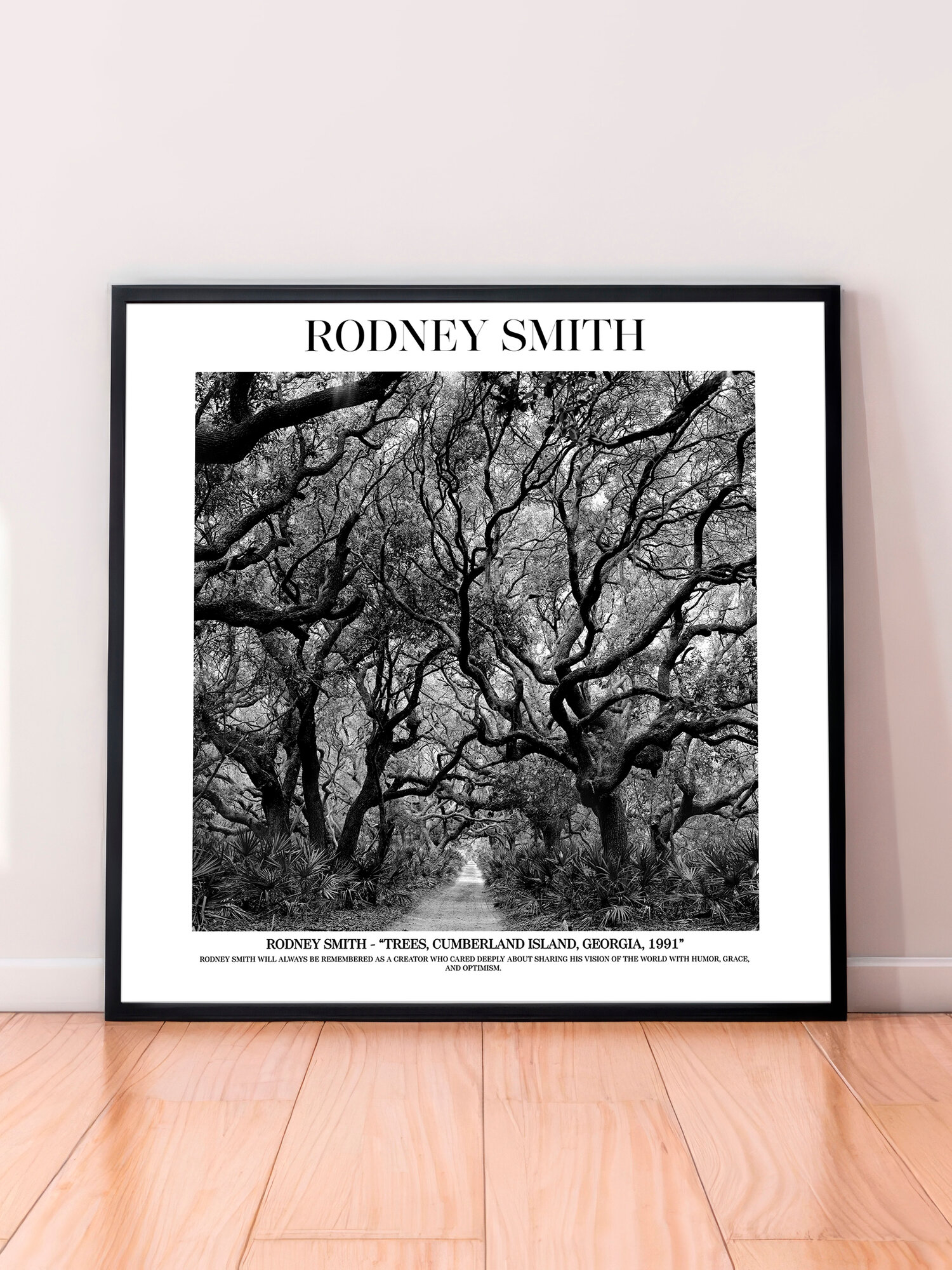 Постер фотография для интерьера Casa Paterna черно-белый Родни Смит - Деревья, 50х50