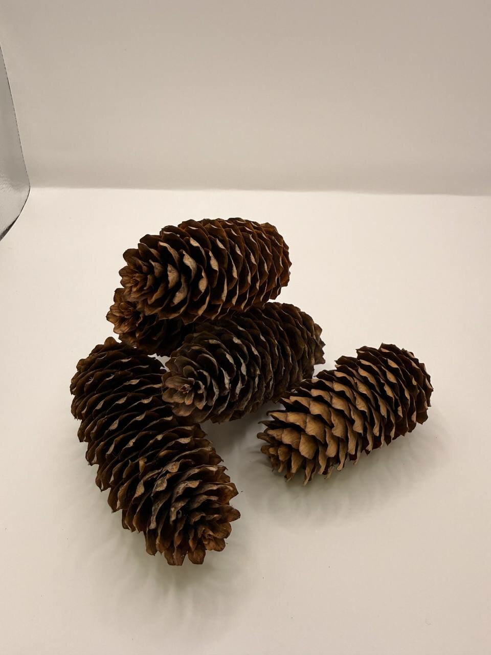 20 шт, Шишки еловые, для творчества, светло-коричневые, 20 штук, 4-6 см