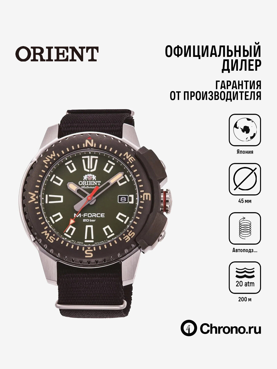  ORIENT