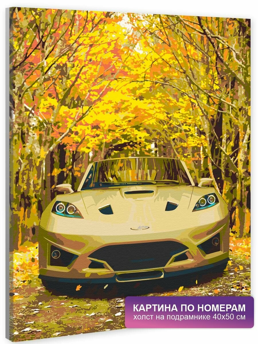 Картина по номерам на холсте с подрамником 40х50 см. Автомобиль, машина. "Форд осенью", арт. 4529/
