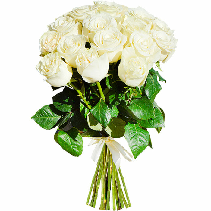 Букет из 15 белых роз.