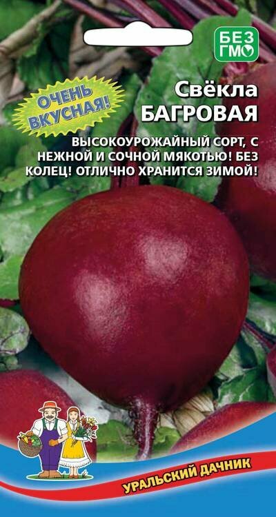Свекла Багровая (Урал. Дачник)