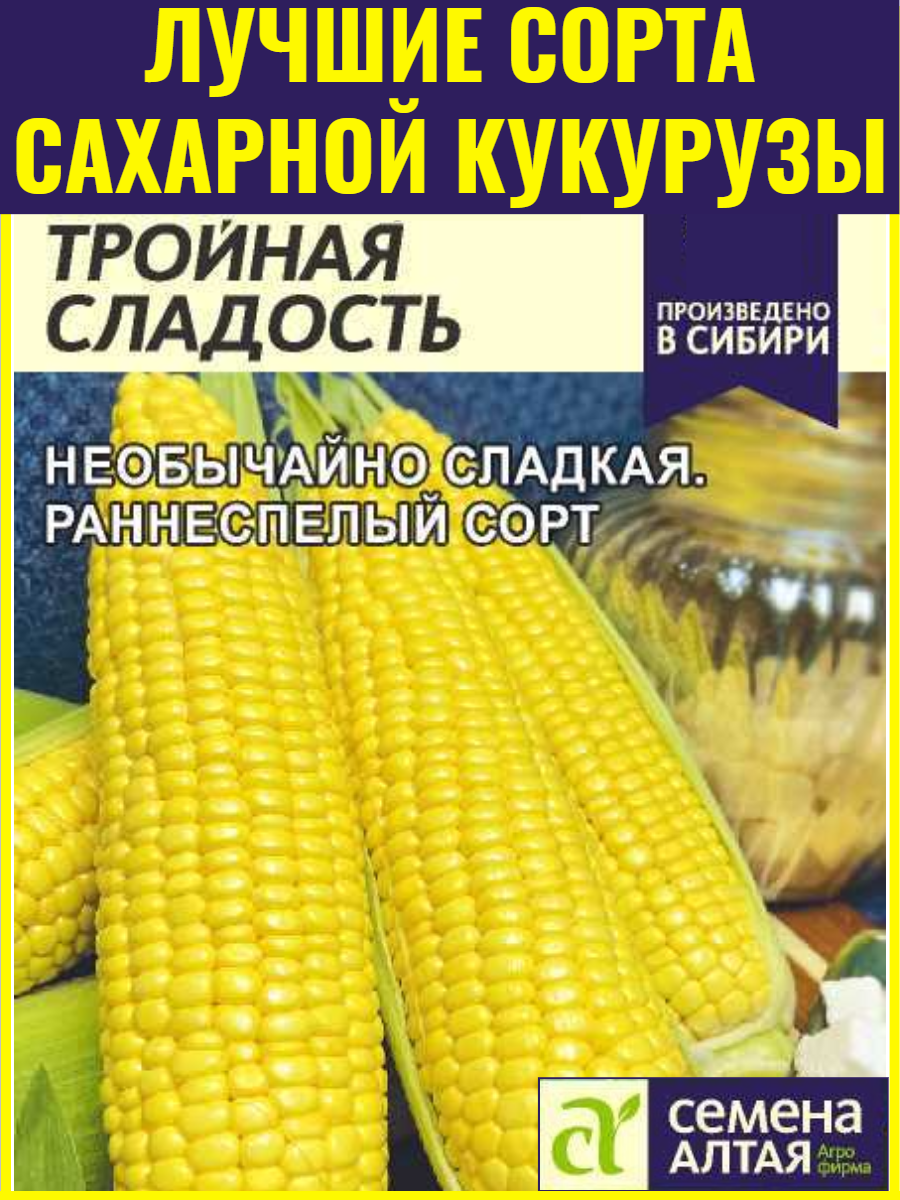 Семена сахарной кукурузы Тройная Сладость - 5 г. Раннеспелый, необычайно сладкий сорт
