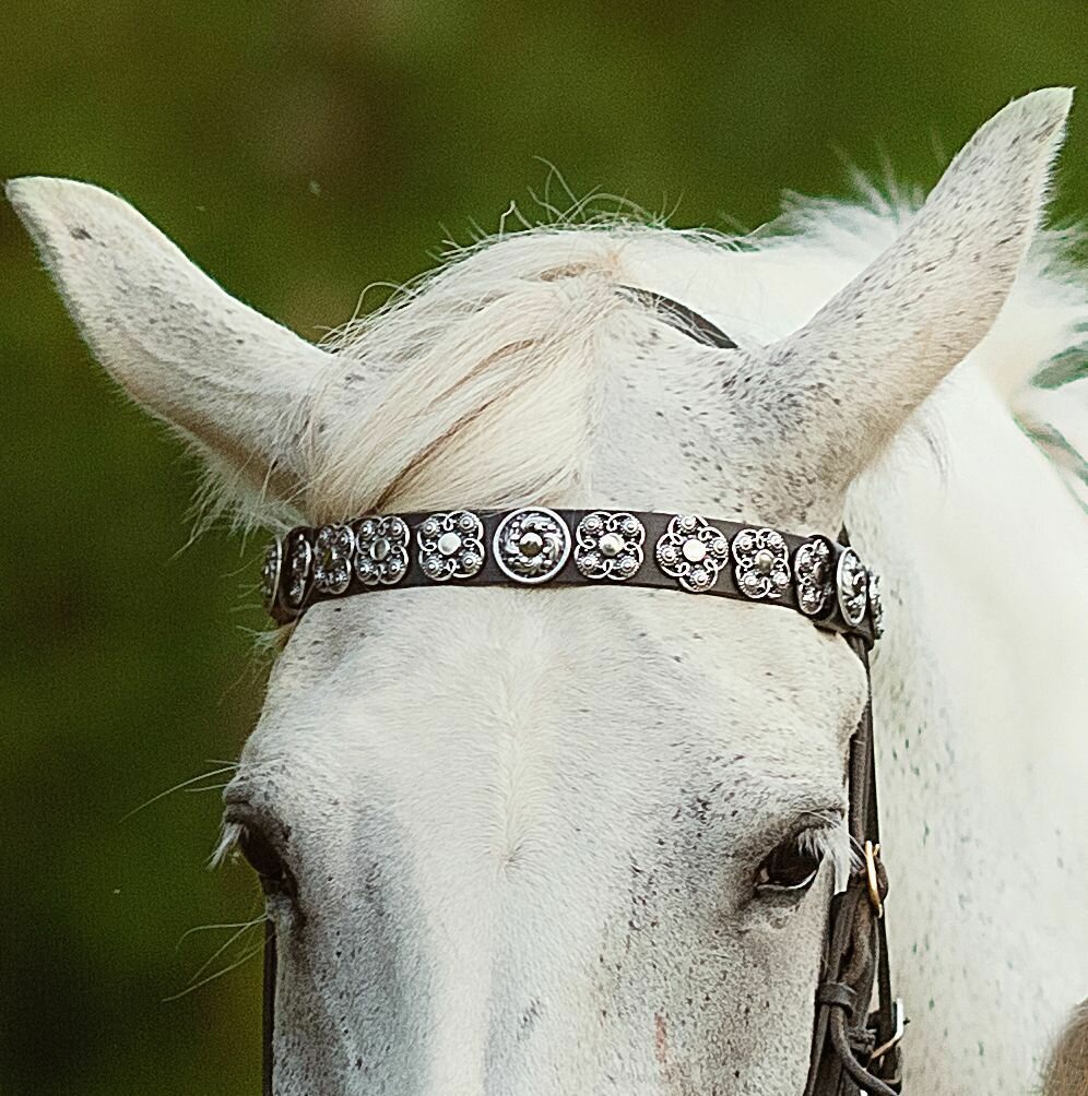 Налобник для крупного коня с металлическими украшениями. Кожаный налобный ремень черный.