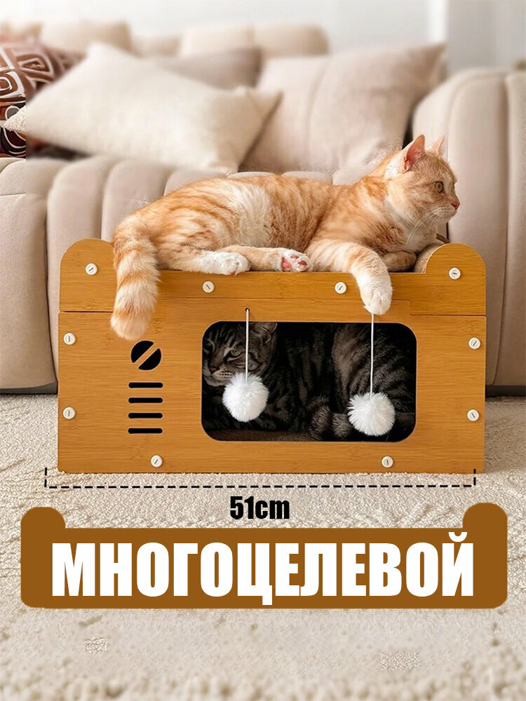 Когтеточка — фото 1