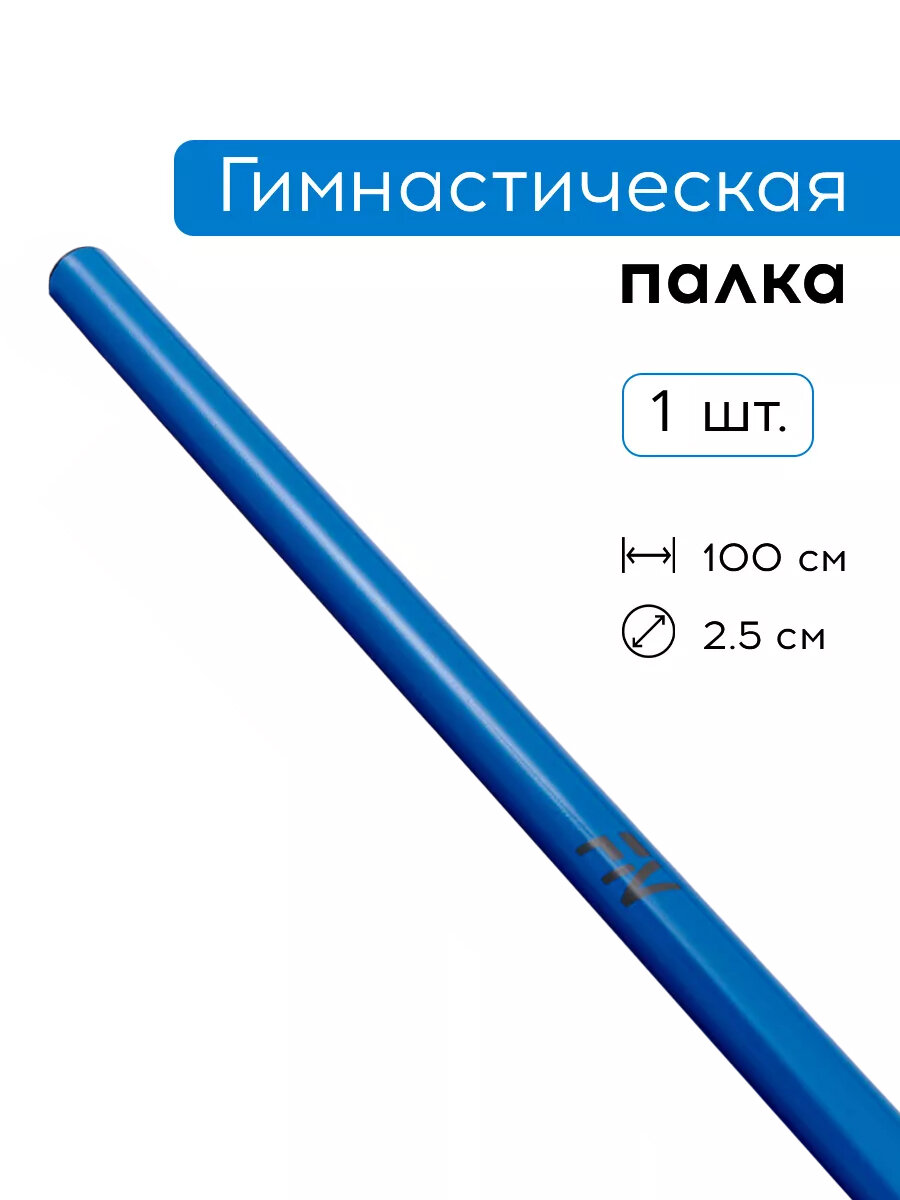 Гимнастическая палка FN Plastic Stick, 100 см, 1 шт, синий цвет