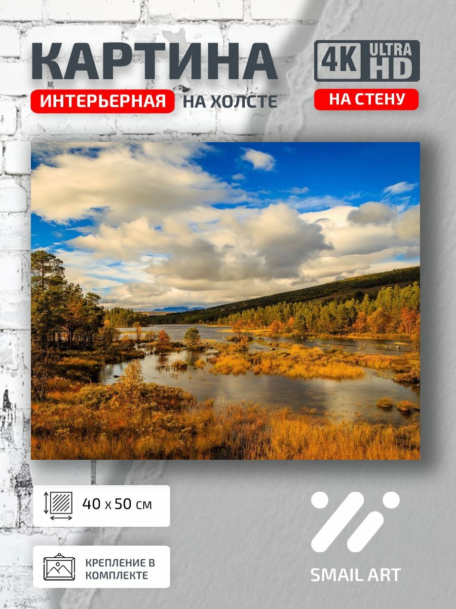 Картина на холсте интерьерная 40 на 50 на стену Даль Landscape для гостиной пейзаж интерьер