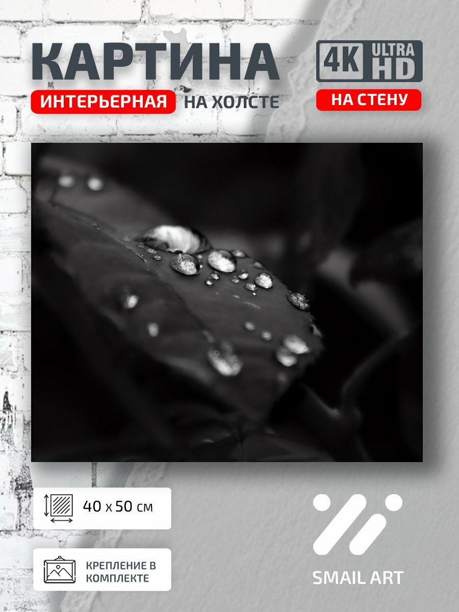 Картина на холсте интерьерная 40 на 50 на стену Черный Macro для офиса макро интерьер декор