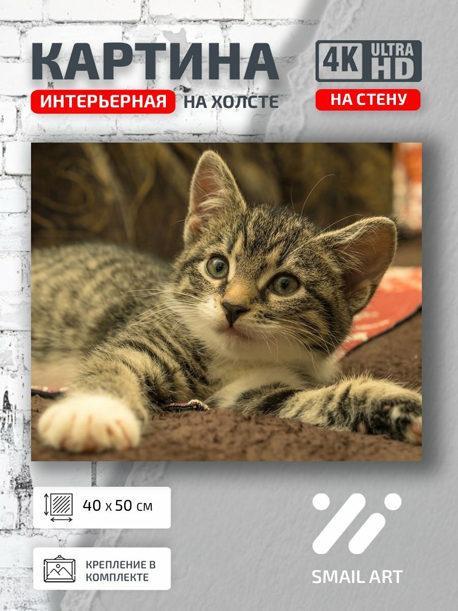 Картина на холсте интерьерная 40 на 50 на стену Ковер Animal для гостиной animal style