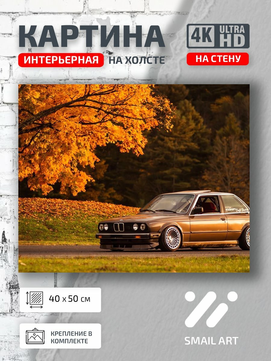 Картина на холсте интерьерная 40 на 50 на стену Осень bmw для офиса пейзаж интерьер декор