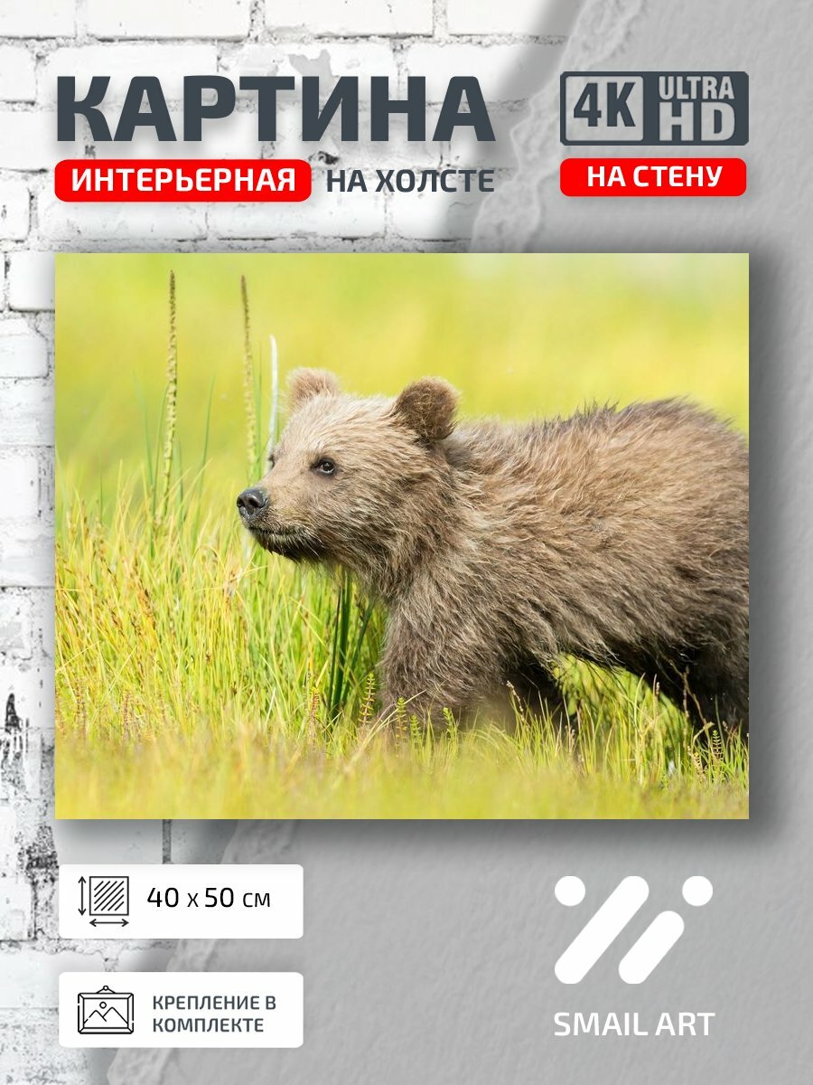 Картина на холсте интерьерная 40 на 50 на стену Шерсть Mood для кабинета атмосфера интерьер