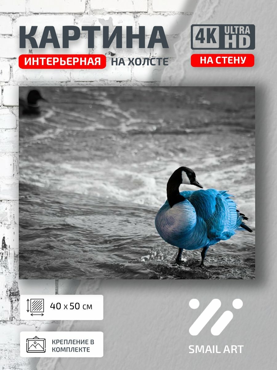 Картина на холсте интерьерная 40 на 50 на стену Гусь Mood для спальни атмосфера интерьер