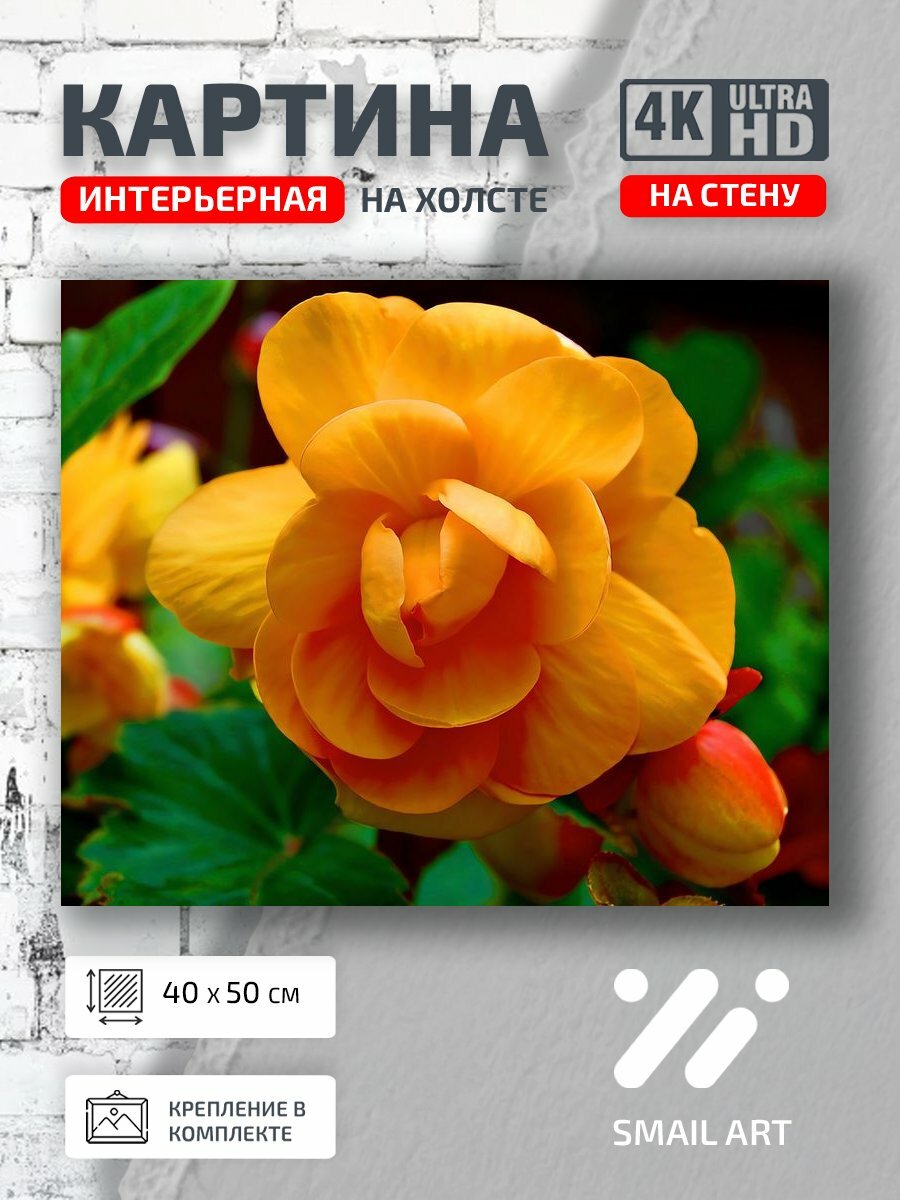 Картина на холсте интерьерная 40 на 50 на стену Желтые Landscape для спальни пейзаж декор