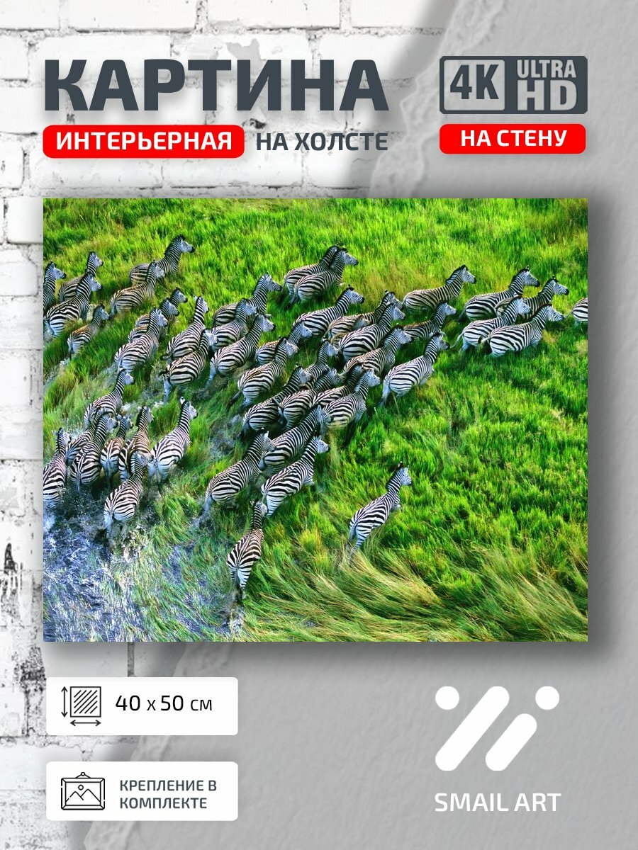 Картина на холсте интерьерная 40 на 50 на стену Трава Landscape для кабинета пейзаж декор