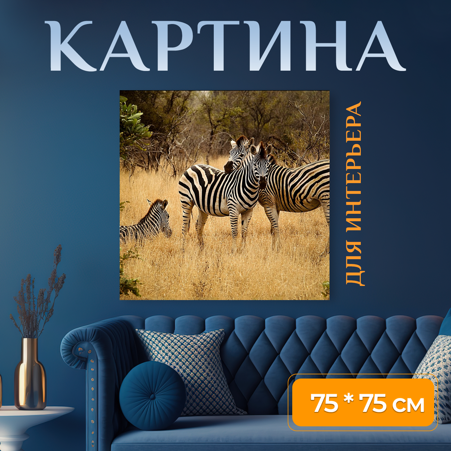 Картина на холсте "Зебры, группа, саванна" на подрамнике 75х75 см. для интерьера