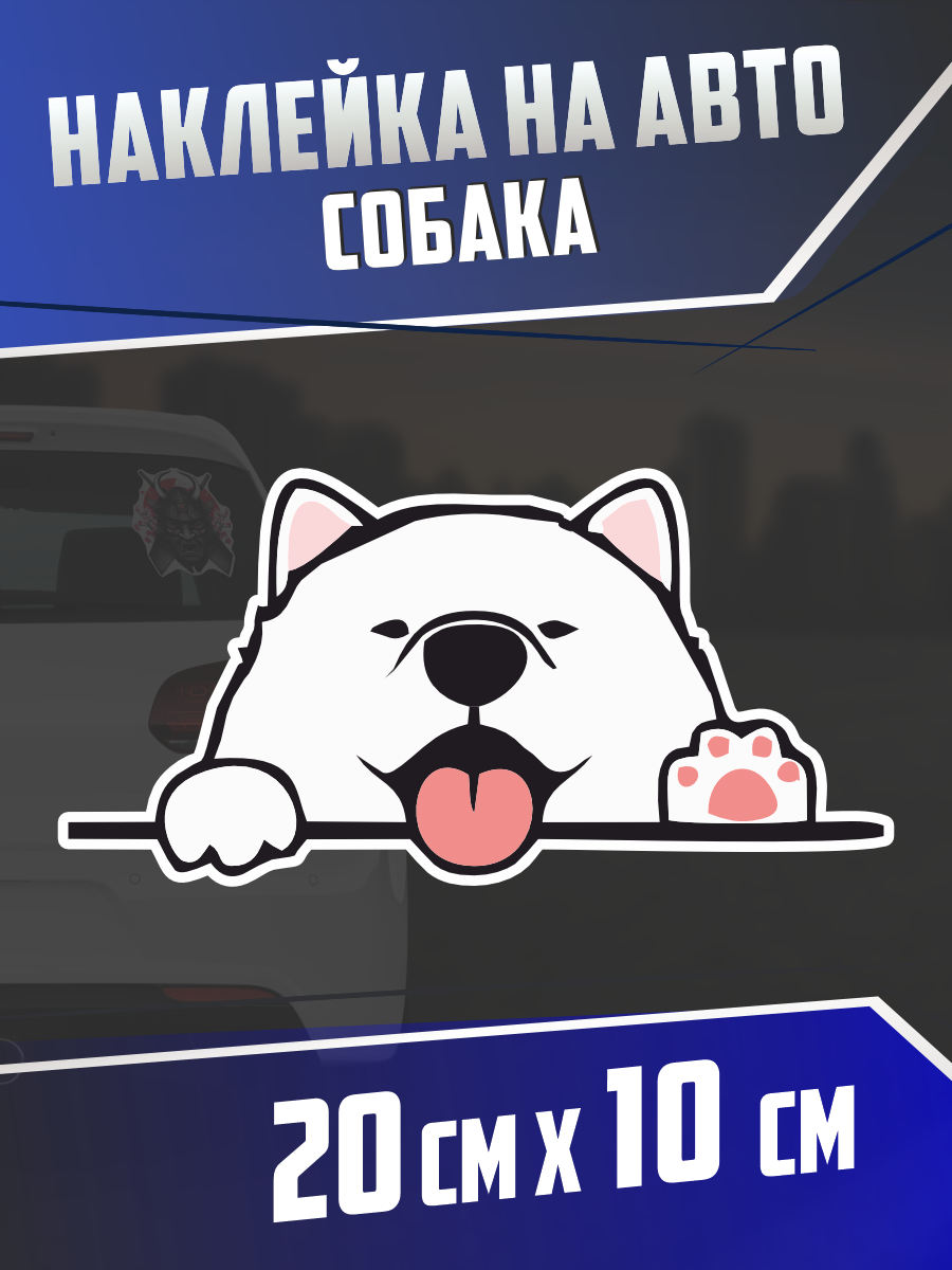 Наклейка на авто Собака самоед