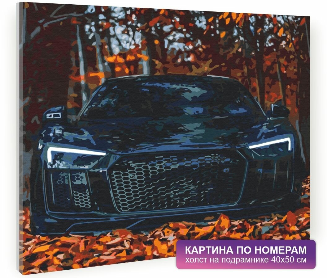 Картина по номерам на холсте с подрамником 40х50 см. Автомобиль, машина. "Audi R8", арт. 4576/