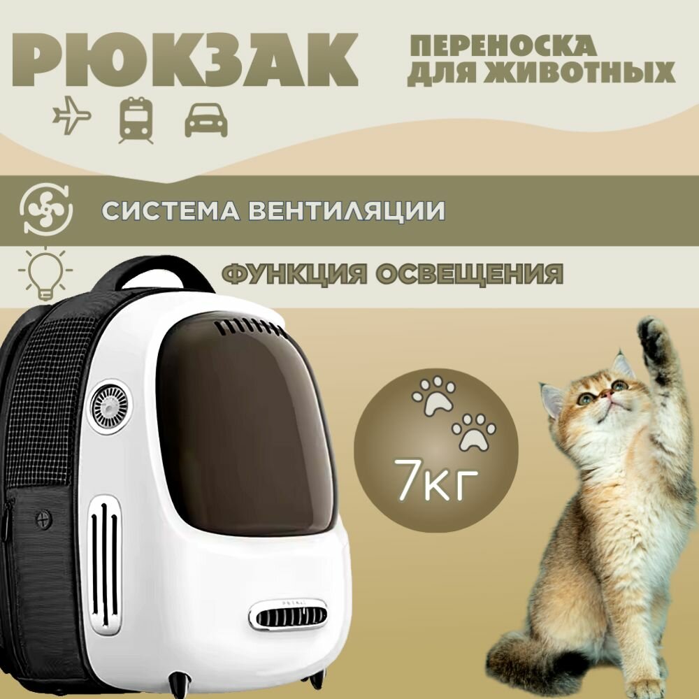 Рюкзак переноска для кошек и собак с освещением и вентиляцией Breezy 1.0 / Белый
